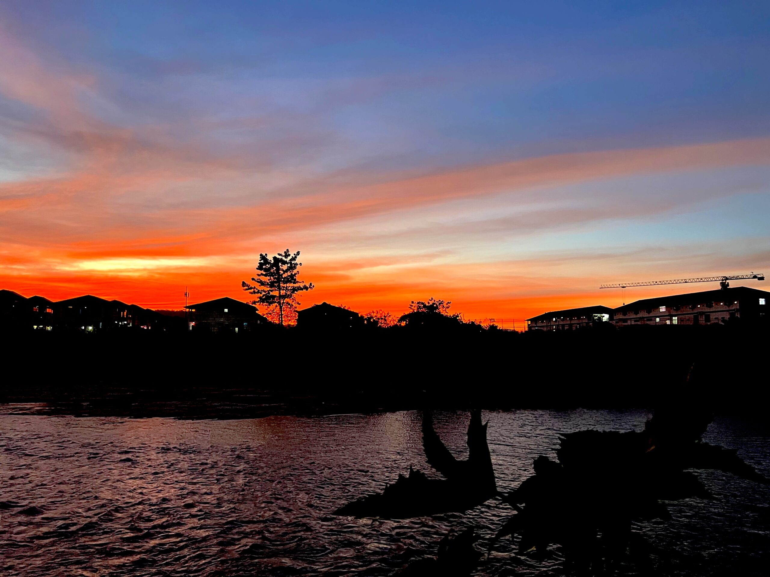 From Yangon to Dubai, A Journey Into The Cyber Romance Scam World (III ...